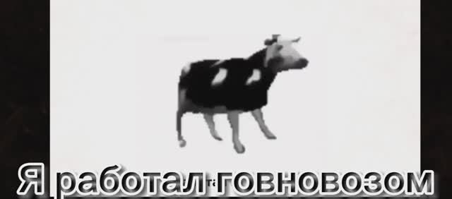 песня Говновоз но это польская корова
