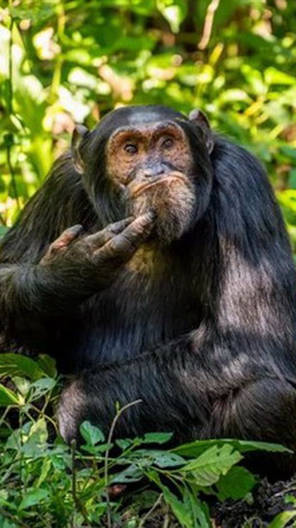 Смешное видео (Часть 9)