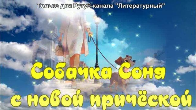 Собачка Соня с новой причёской