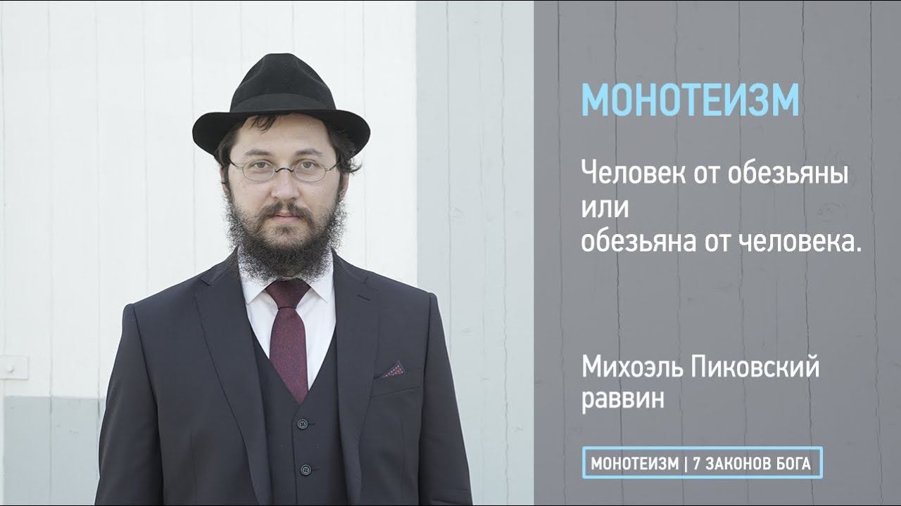 Человек от обезьяны или обезьяна от человека.