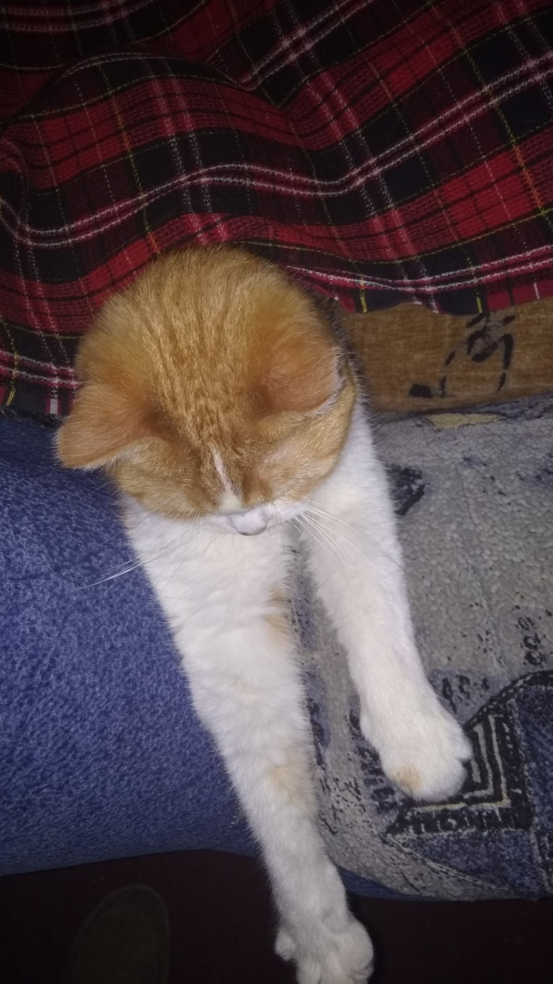 Всё, я спать! 😉😃👍