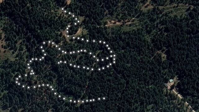 Зачем мы сделали 3 километра дорог внутри участка.(Лесная жизнь в Америке.)