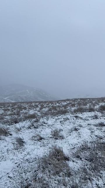 Коктебель: Зима на плато Тепсень