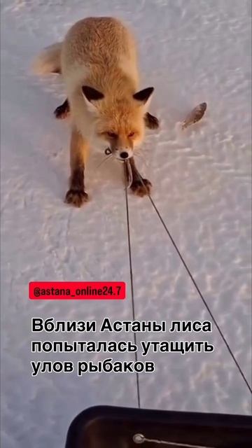 С новыми новостями! 😉