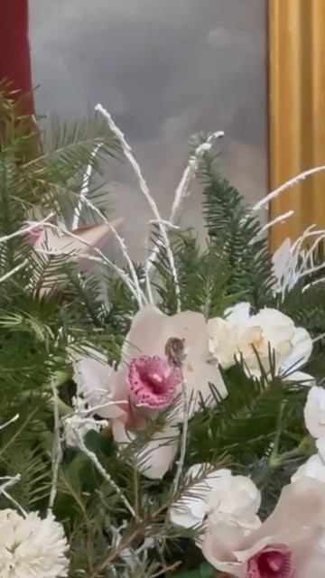 С Крещением Господним. Живая бабочка в январе. У Бога нет ничего невозможного 🙏