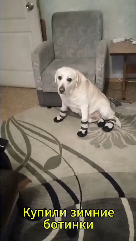 Купили зимние ботинки