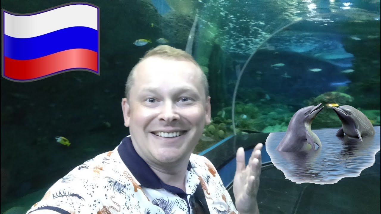 #10.Океан у океана!  Приморский Океанариум во Владивостоке (о. Русский). Как добраться своим ходом?