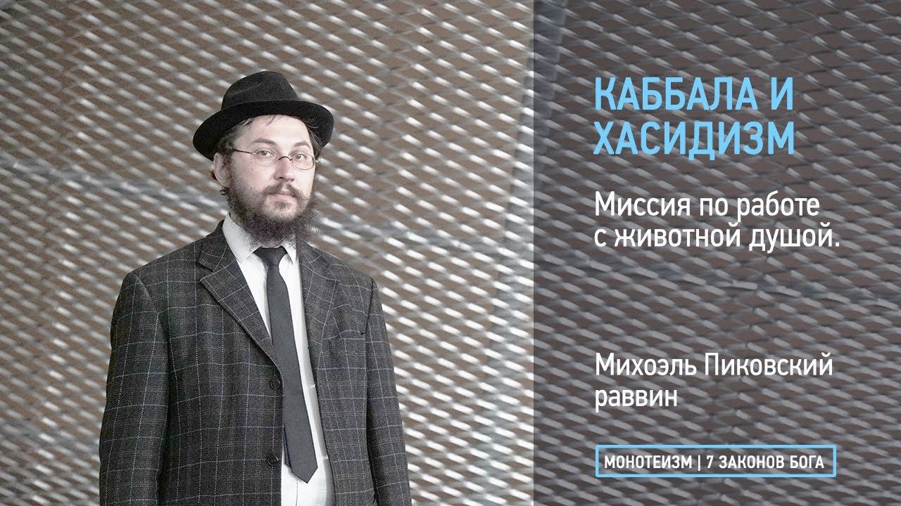 Миссия по работе с животной душой.