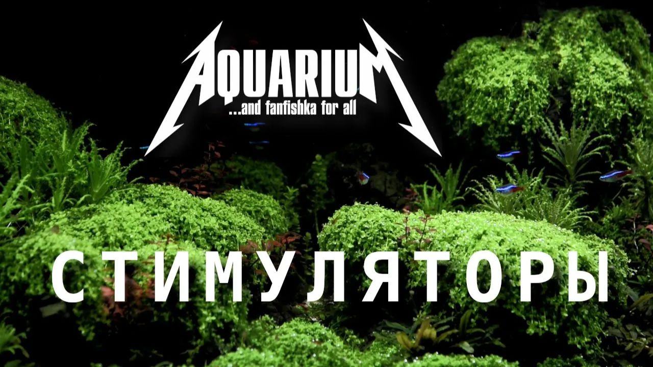 Аквариумные стимуляторы роста растений. Играй, гормон!