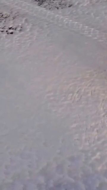 Рыжая рыбачка