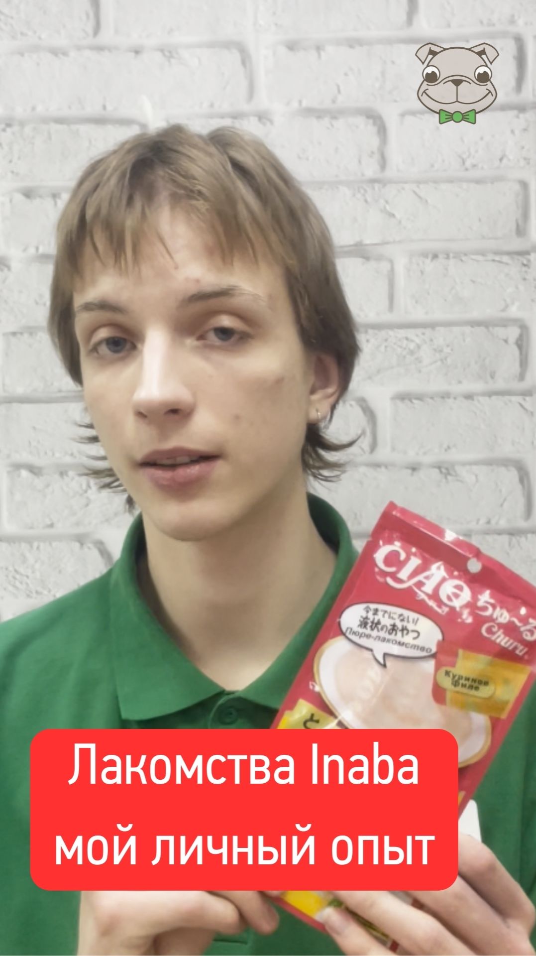 Крем-лакомства Inaba для кошек 🐱 Удобно, вкусно, проверено лично