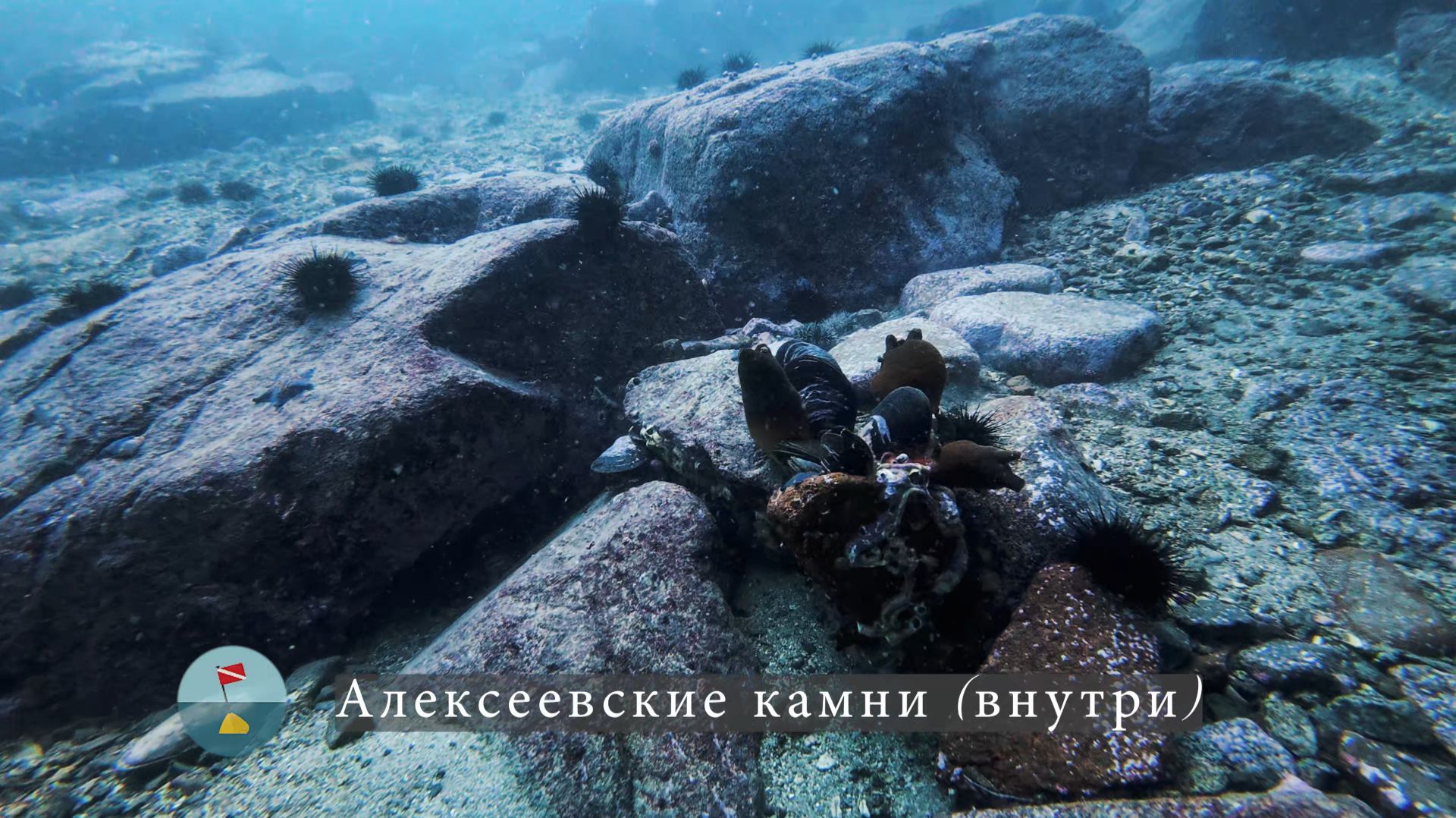 Алексеевские камни (внутри)