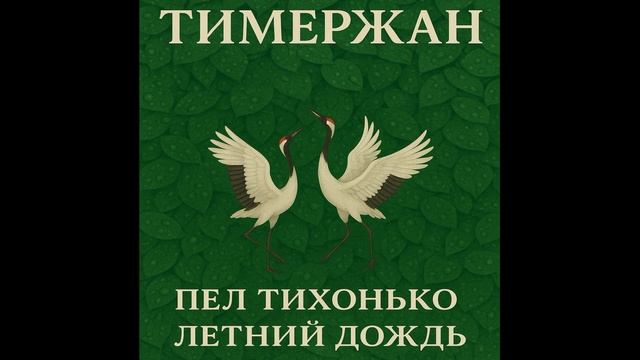 Тимержан - Пел тихонько летний дождь [Rock Mix 4]