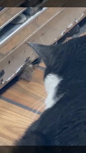 Что стоим, кого ждём?