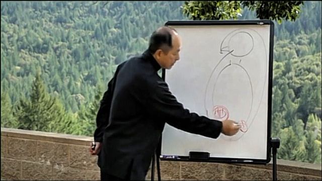 Боевой Цигун 15. Малый круговорот цигун Ян Цзюньмин