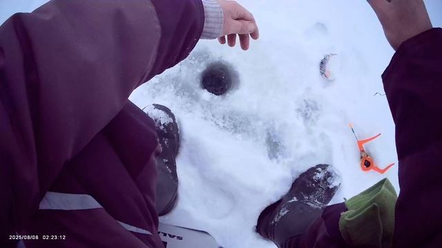 Порыбачил немного в свой выходной день😌 Рыбачил на мормышку с пучком мотыля🪱
