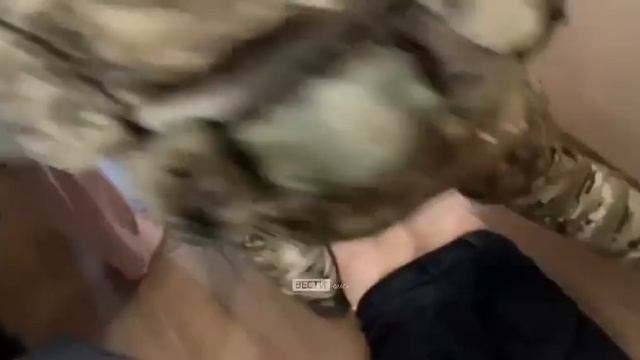 Появились кадры задержания стрелка на мосту у Телецентра