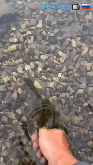 Сюда 👇 лучше без трусов не нырять.