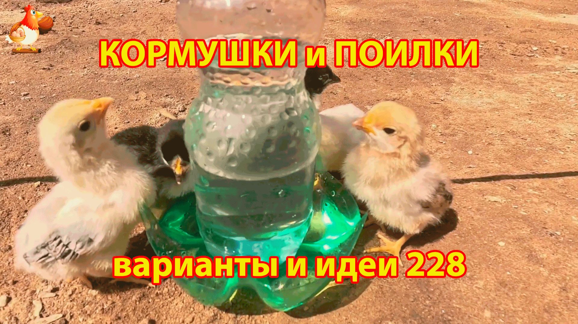 Кормушки и поилки для кур своими руками 228 🪚✂️ Пошаговая инструкция как сделать 🐔 🐓❣️