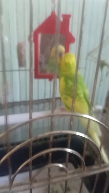 У меня не получилось его прославить?..