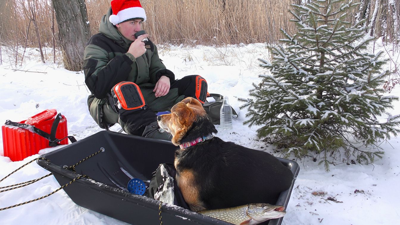 ЗИМА, РЫБАЛКА С СОБАКОЙ- ЖЕРЛИЦЫ И КОСТЁР В ЯНВАРЕ.