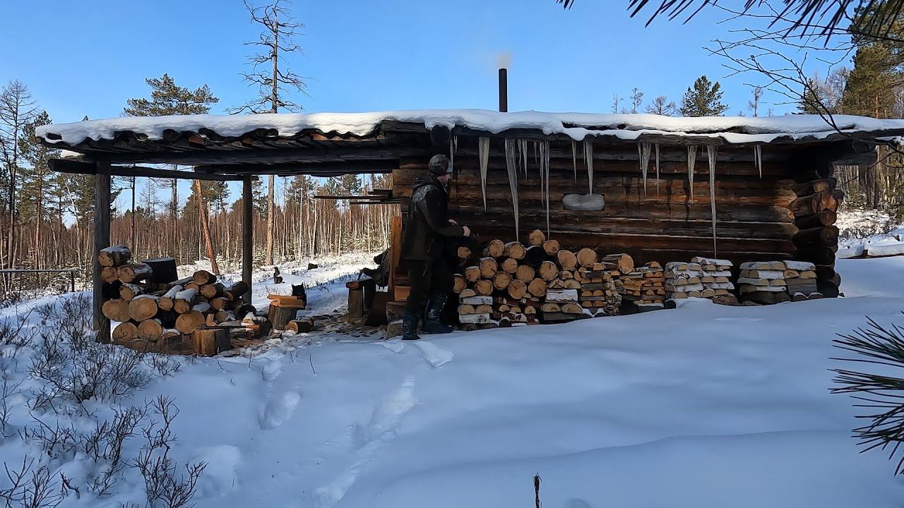 ПРОВЕРКА ПУТИКА ОДНИМ ДНЁМ.  #идилесом 30/12/23