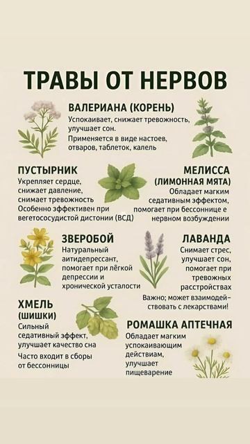 Травы от нервов