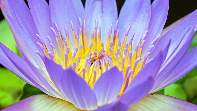 19  Обсуждение  темы №10  Жертва всесожжения. Практика  (А. Бокертов)