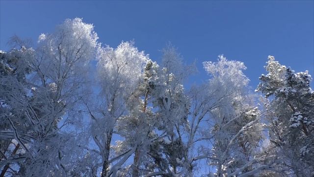 Зарисовки 7 Зима и мороз