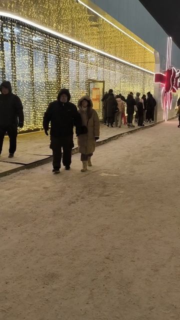 Каток в Коломенском/продолжение...