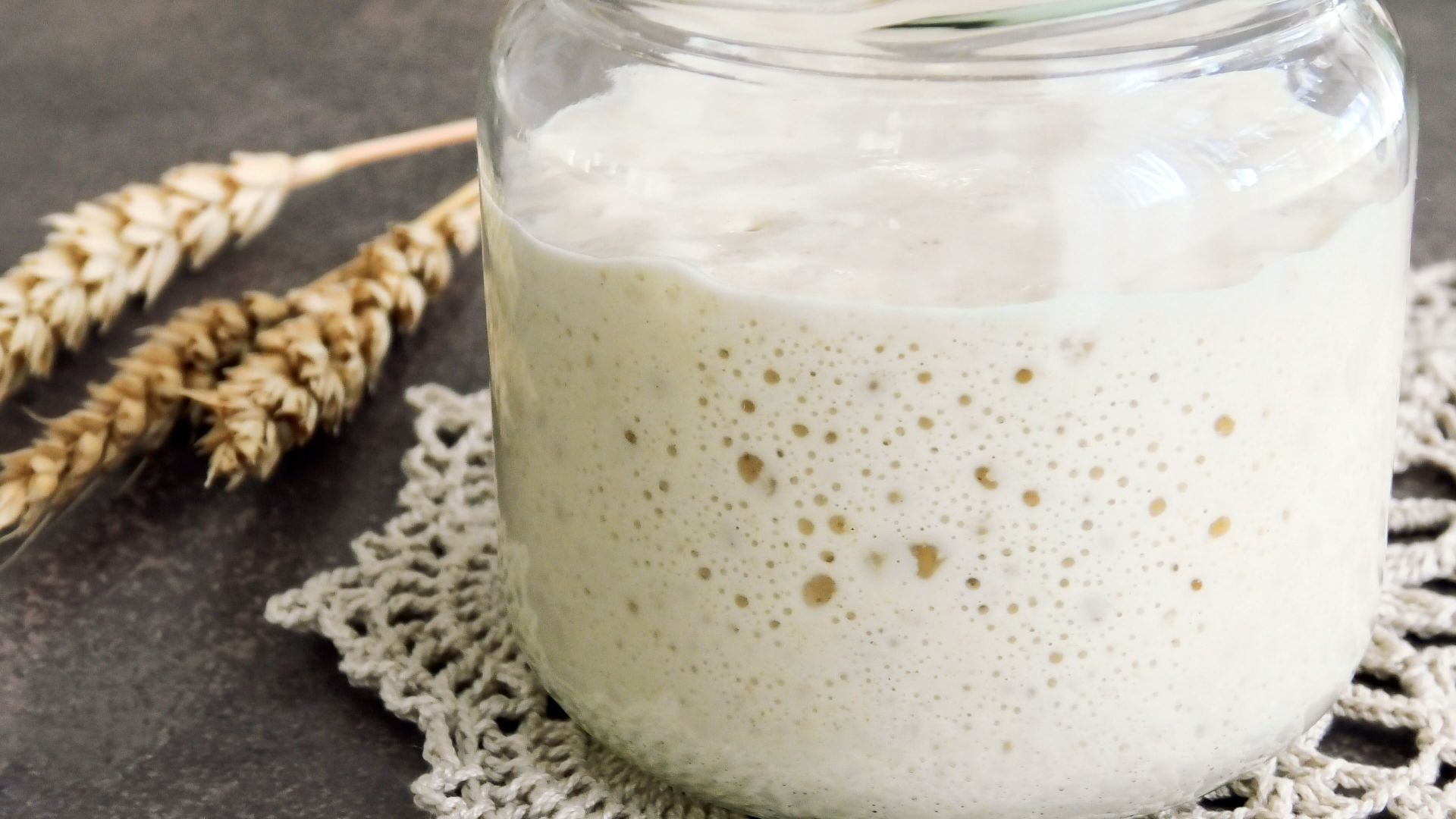 КАК ВЫВЕСТИ ПШЕНИЧНУЮ ЗАКВАСКУ! НЮАНСЫ! ВИДЫ! ЛИЧНЫЙ ОПЫТ!