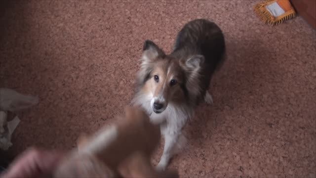 2026 новый год. готовим Лете еду