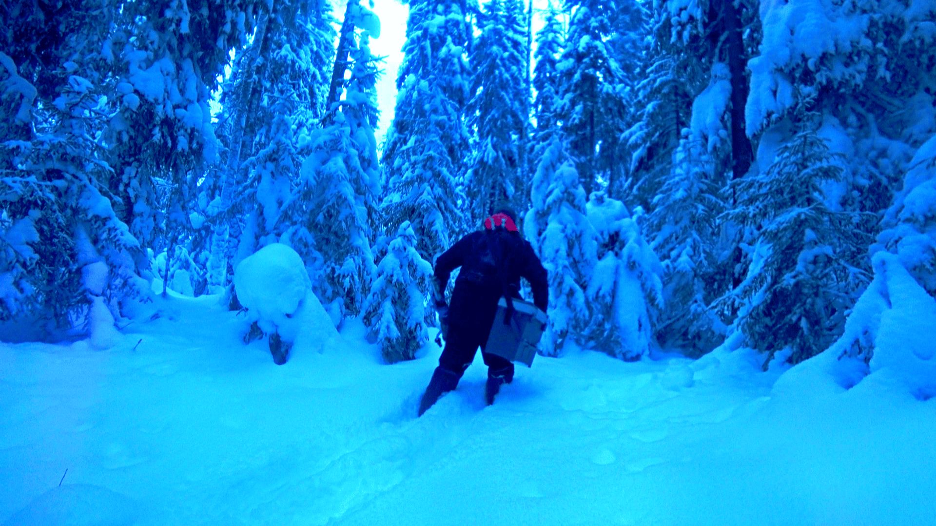 Рыбак зашел в лес нашел озеро такого не ожидал. Рыбалка в глухозимье 2026 на жерлицы и мормышку