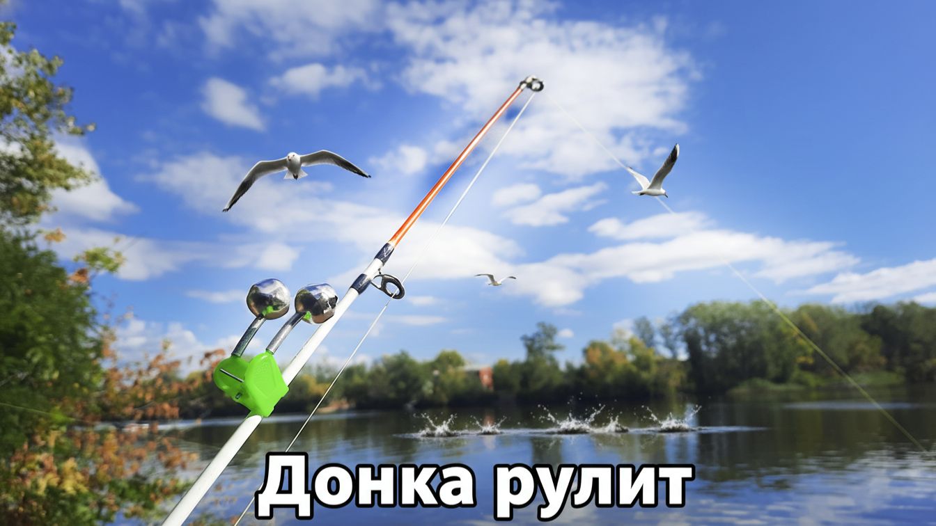 НАШЛИ КРУПНУЮ ПЛОТВУ! Рыбалка на донки с собакой.