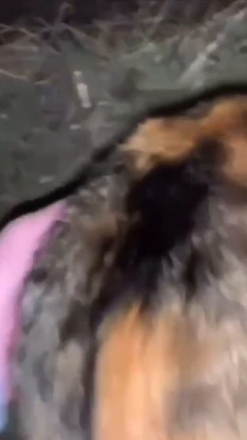 Квочка- наседка спасает пушистиков в холодную стужу!