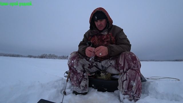 Рыбалка 17 января.Не повезло.