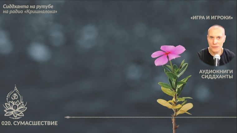 Игра и Игроки. 020. Сумасшествие. Аудиокниги Сиддханты (Вячеслава Чернина)