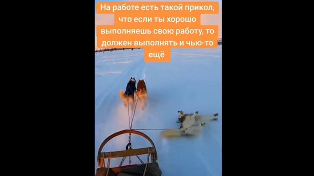 Интересные видео из тик ток. Подписывайся, здесь много интересного ;)