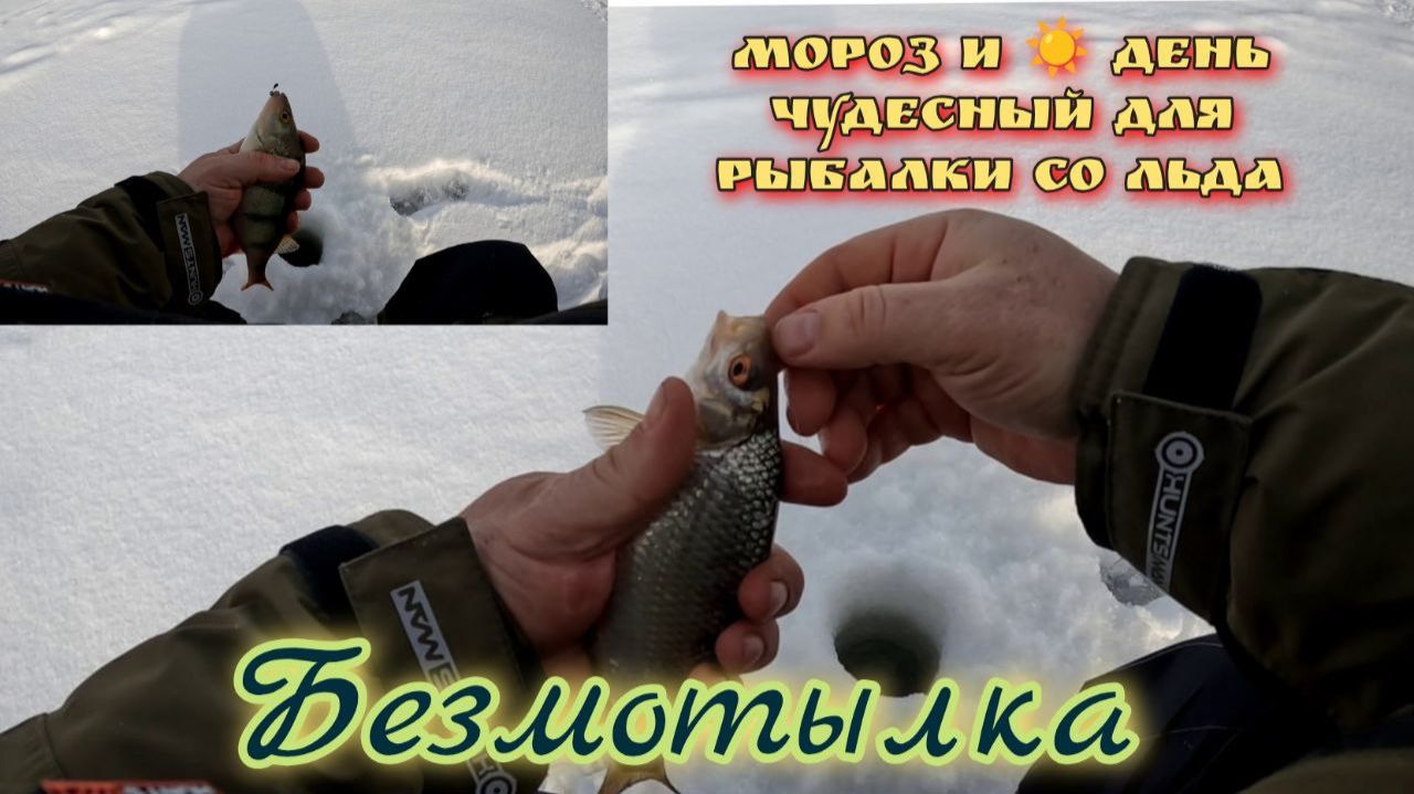 Зимняя ловля на безмотылку: как насладиться рыбалкой в пред крещенские морозы!