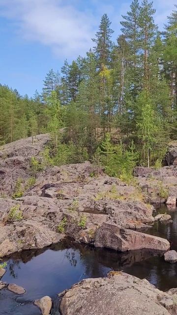 Карелия 2025. Гирвас. Поор-порог. Суна. Июль 2025г (Часть 2)