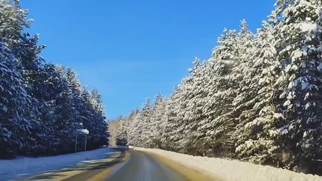 Снежная красота . В родник за водой в январский мороз.