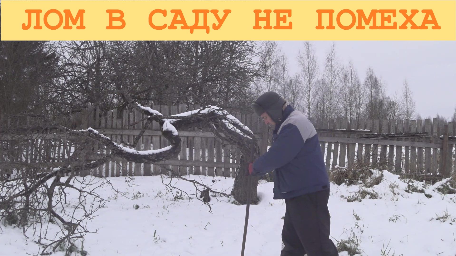 2025 Ноябрь. Осенне-зимняя подкормка сада.