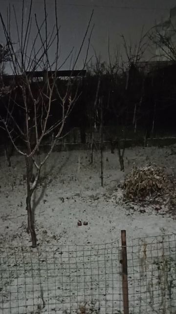 Первый снег в этом году в Рустави (Грузия) 18.01.2026