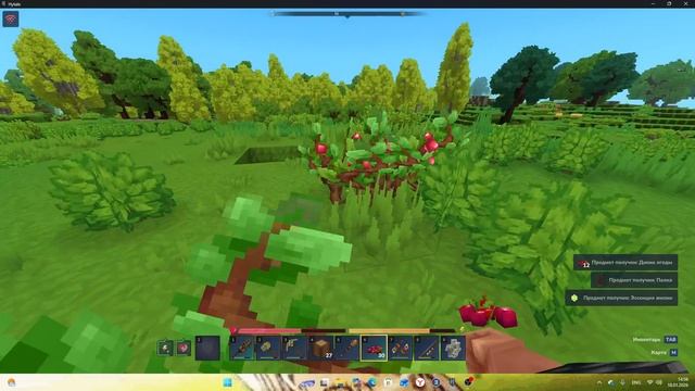 Играю в хайтейл 2, что за биомы вулканов?