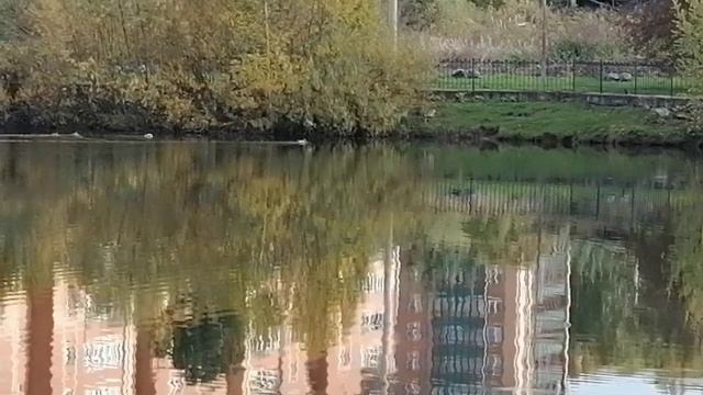 Пруд на ручье Серебряный. Осень