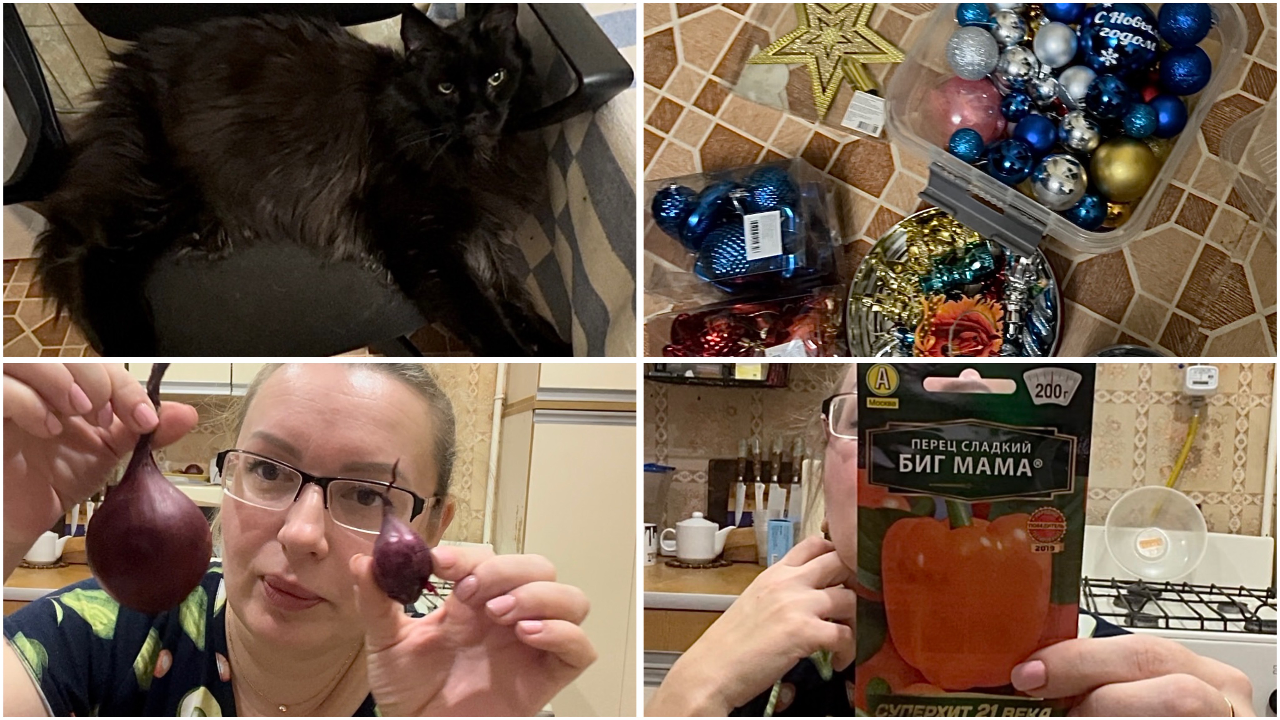 16 января. Убрали елку. Нужные покупки. Опять семена😳