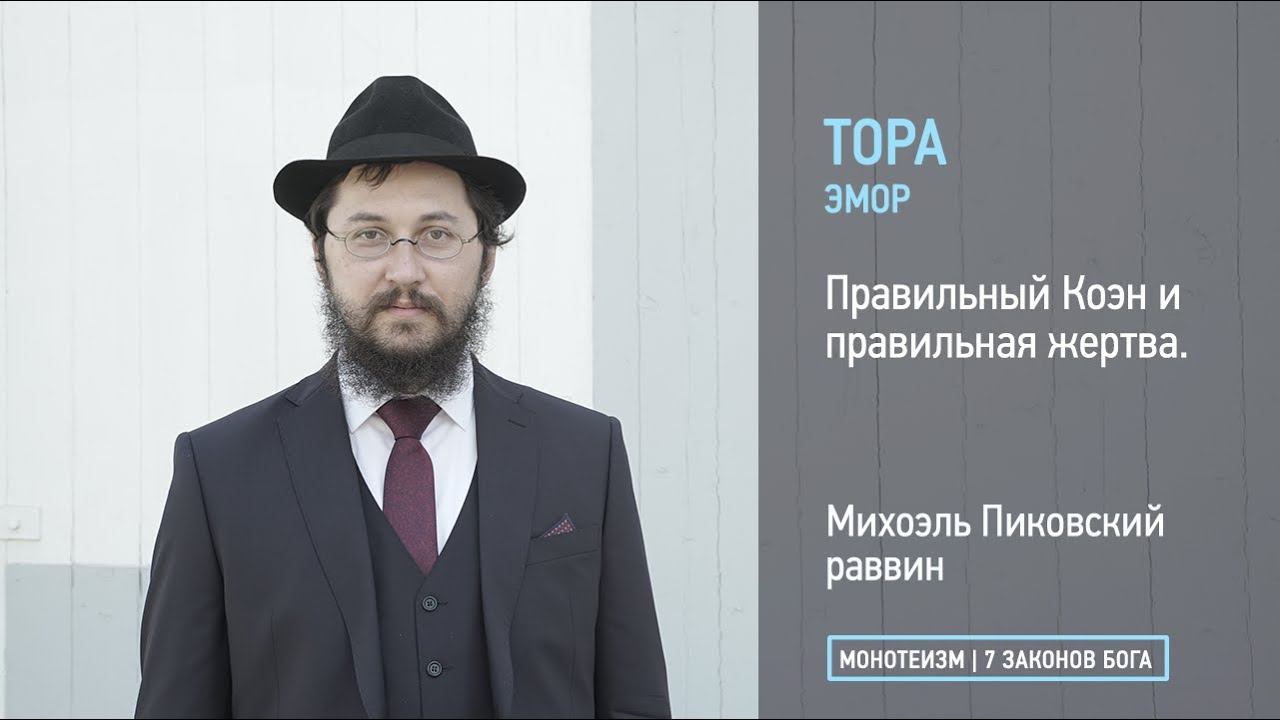 Тора: Глава ЭМОР. Правильный Коэн и правильная жертва.
