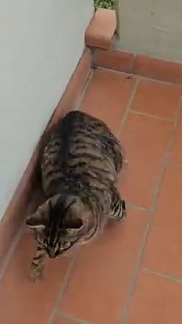 Праздники прошли