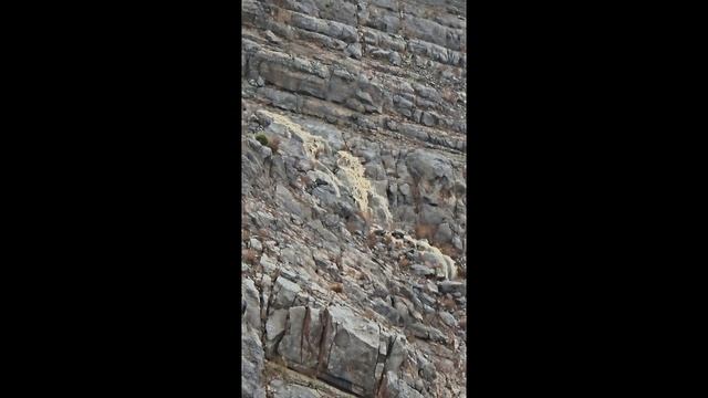 после дождя