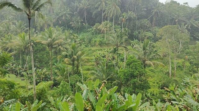 сезон дождей на Бали